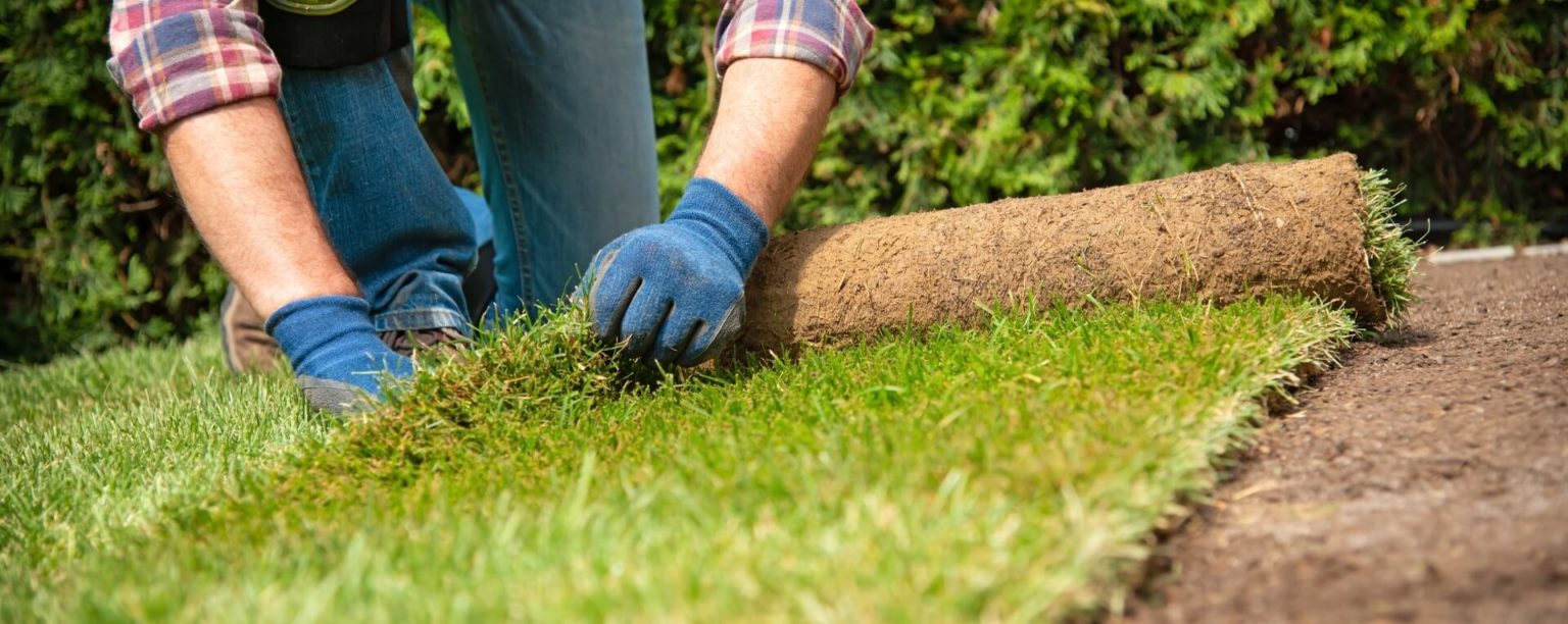 Las Vegas Grass & Sod Installation | Sod Service Near Me | Visualized